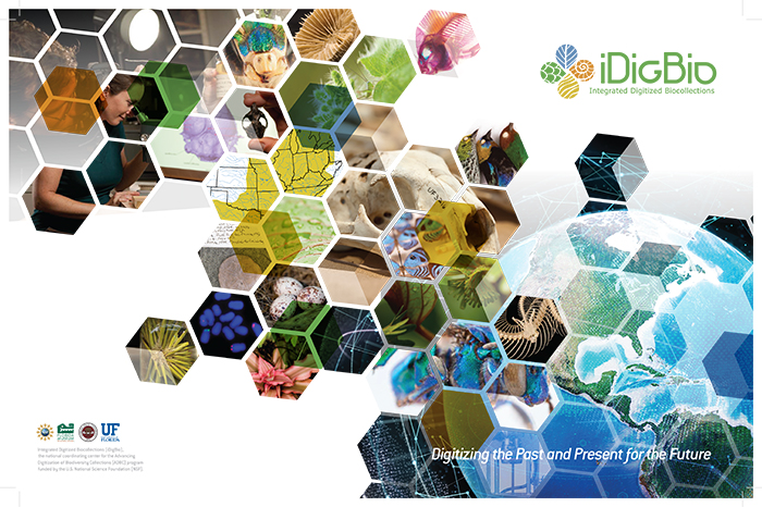 iDigBio project receives $15.5 million NSF grant to digitize biodiversity collections | iDigBio